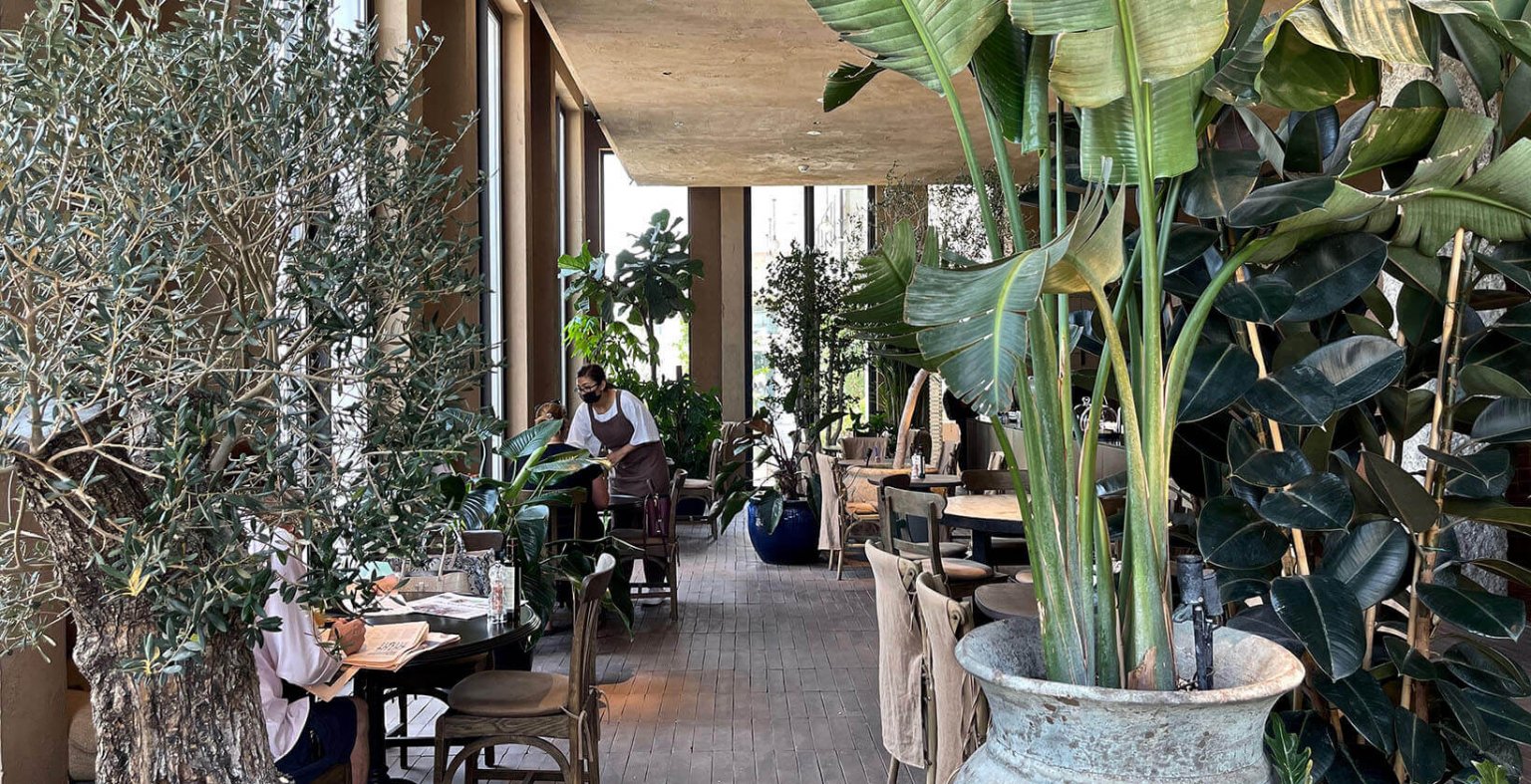 Terra Eatery: A beautiful restaurant in Al Safa